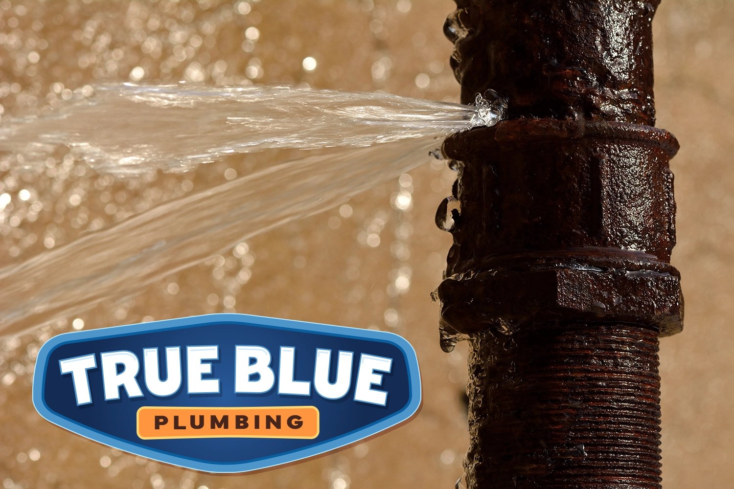 Busted, Rusted & Broken Pipe Repair - True Blue Plumbing